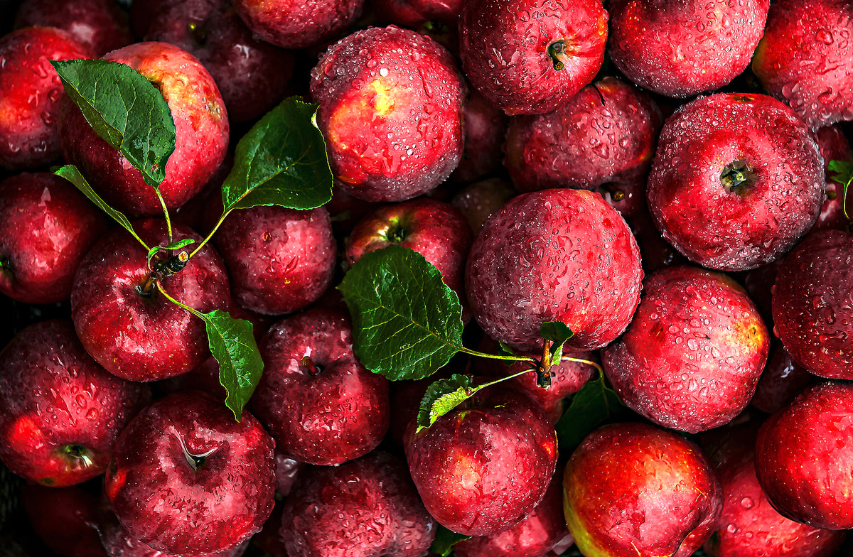 National Eat a Red Apple Day: See Why This Fruit Should Always Be Part ...